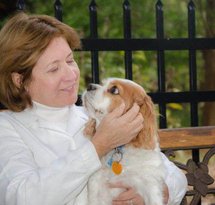 Gallery - Greenwood Kennels